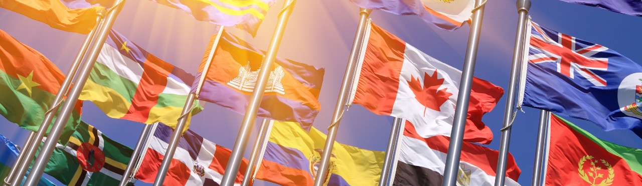 Global solutions for local issues – FIC and DIC/DIL explained